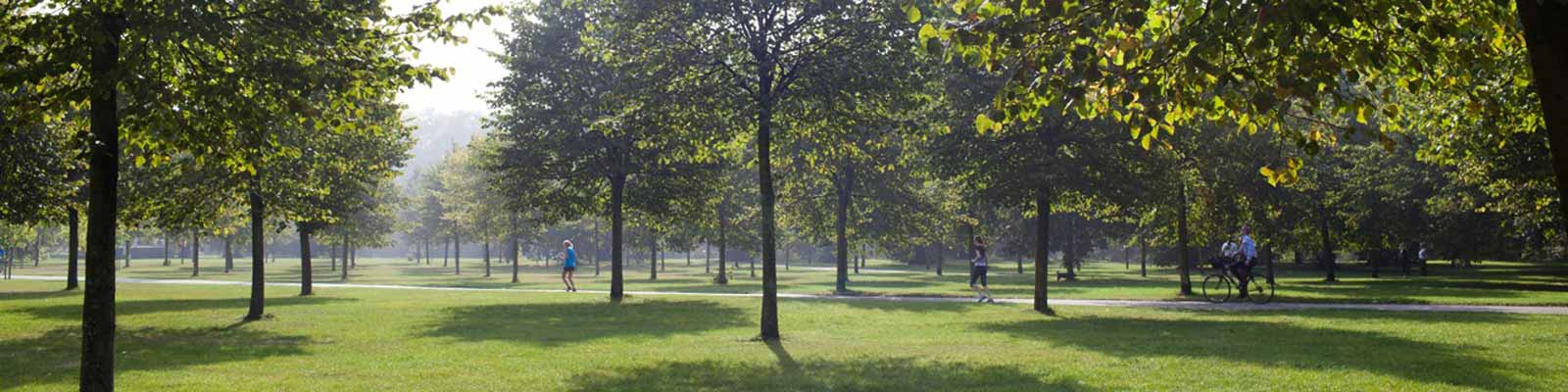 Ashbourne Private Sixth Form College London | Admissions